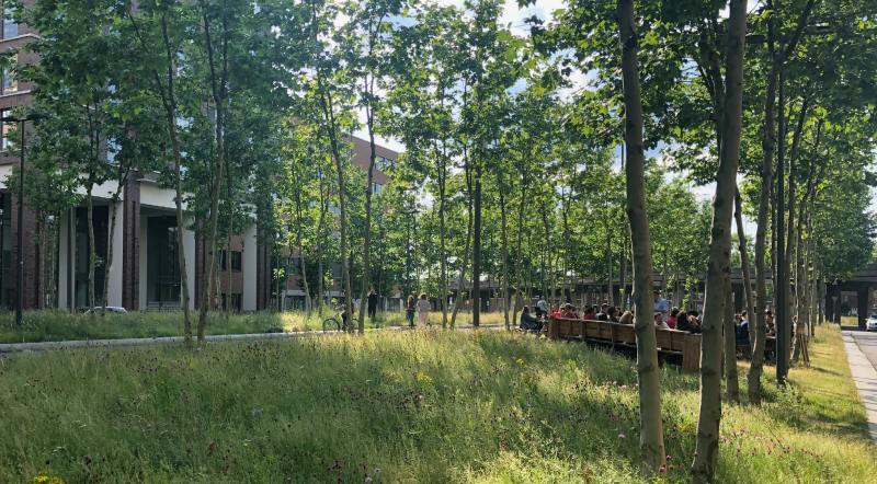 For People, City and Planet - Hartree